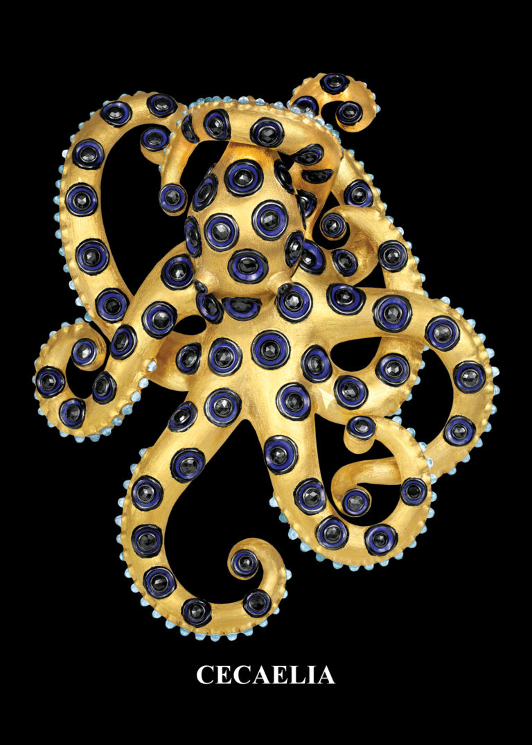 10 Cecaelia | Crevoshay